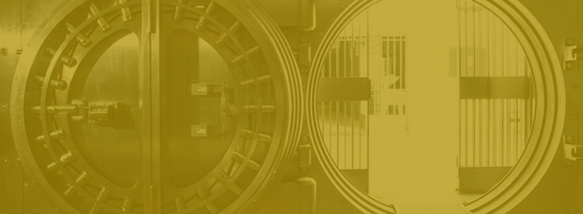 Services | BRIDGE VAULT LOGISTICS